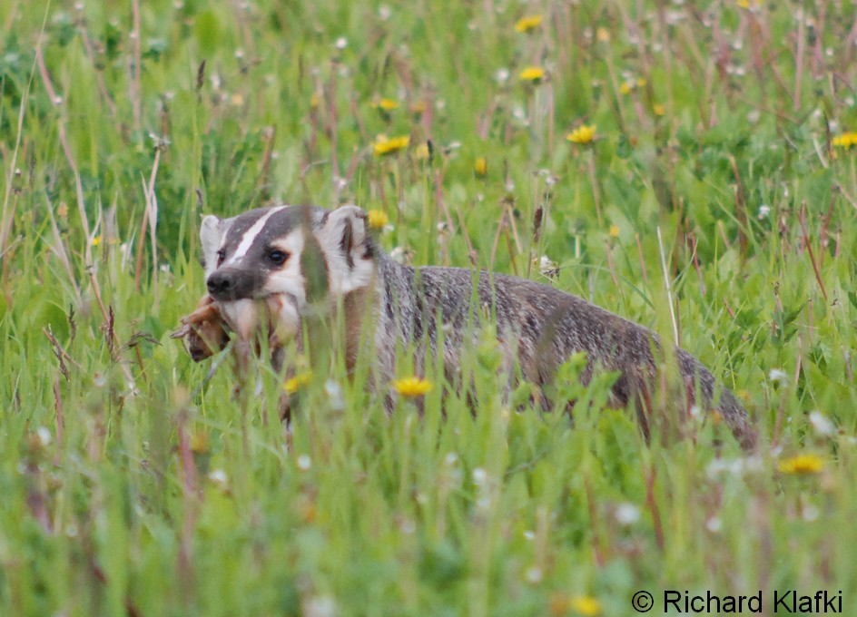 Post a picture to piss your rival off : r/CFB